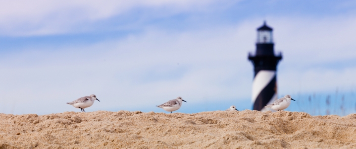 Hatteras Island Cancer Foundation – Cancer Support for Hatteras NC